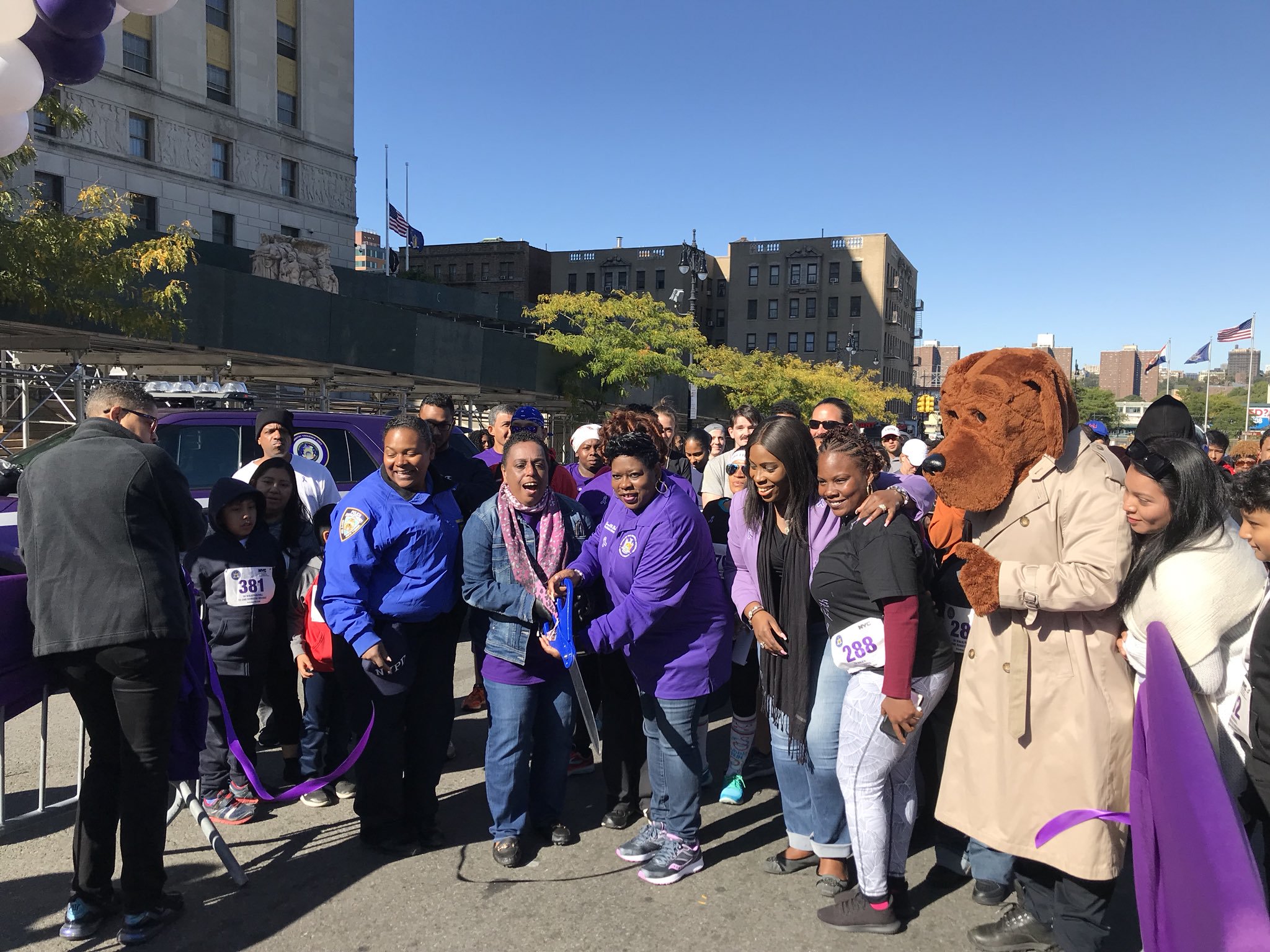 Bronx DA Public Site